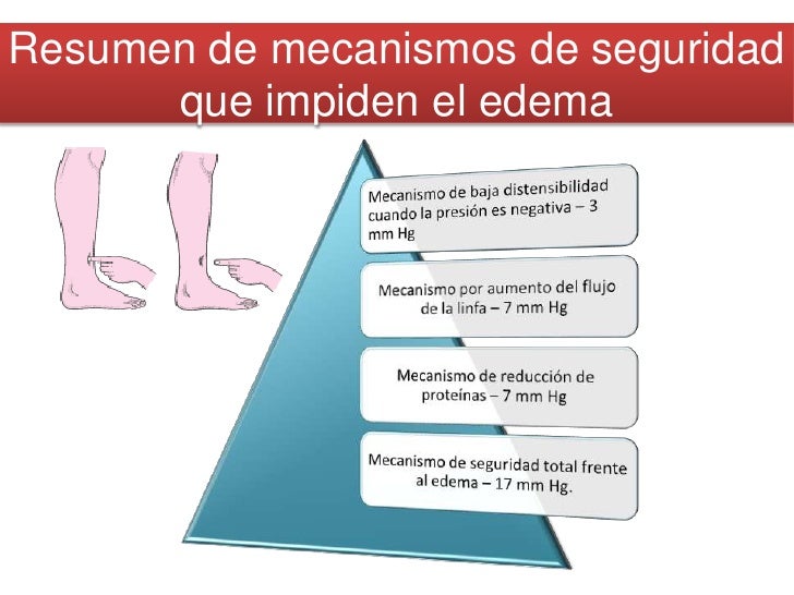 LOS COMPARTIMENTOS DEL LÍQUIDO CORPORAL: LIQUIDOS EXTRACELULAR E ...
