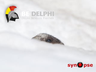 Delphi ORM SOA MVC SQL NoSQL JSON REST mORMot | PPT