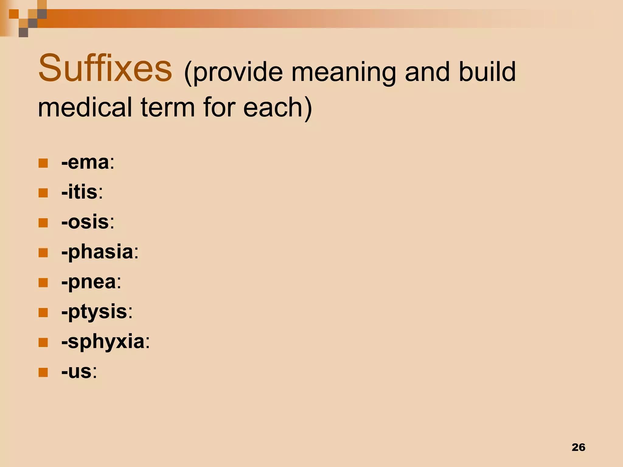 Respiratory System | PPTX