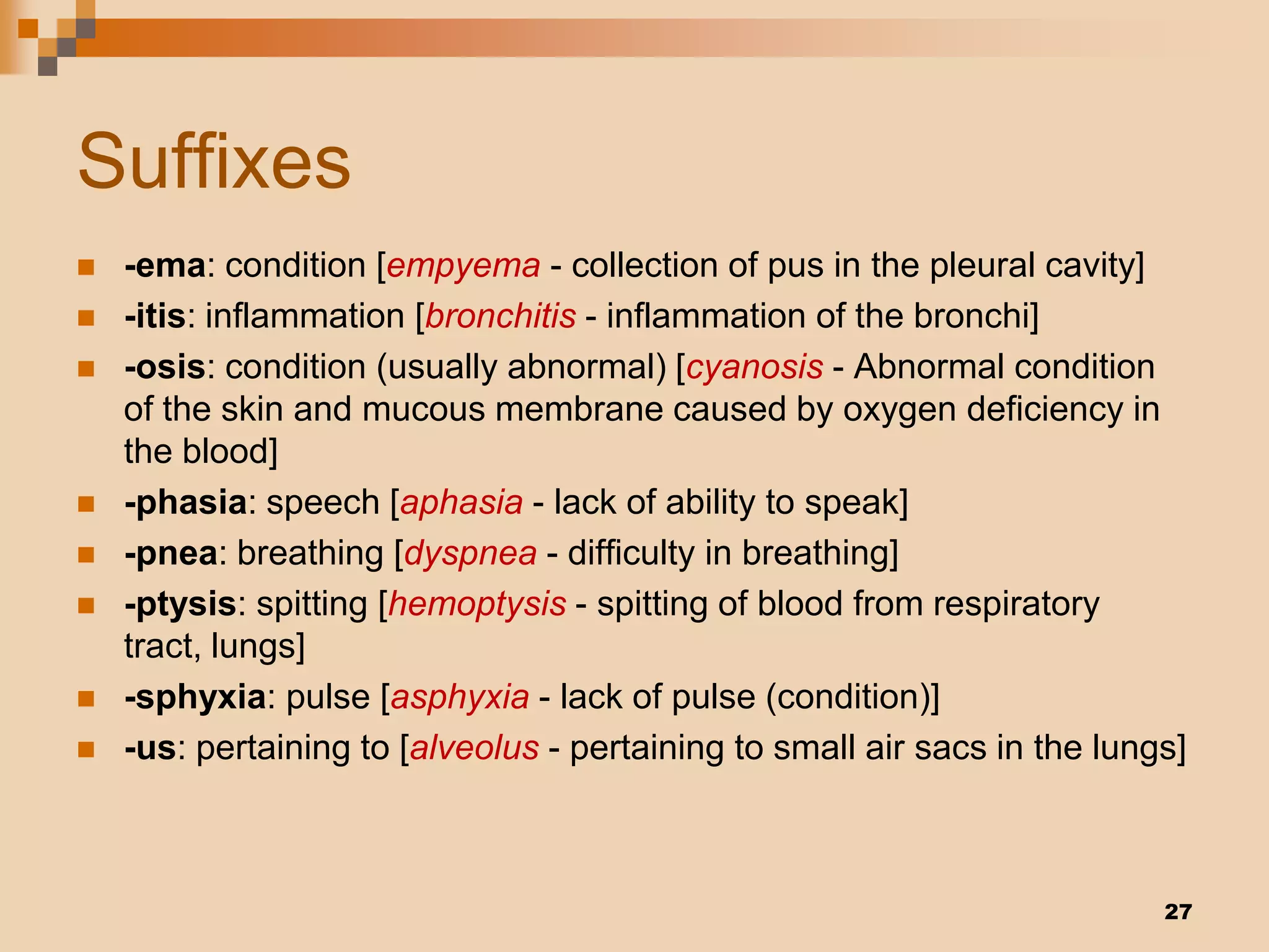 Respiratory System | PPTX