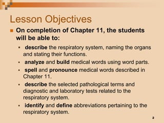 Respiratory System | PPTX