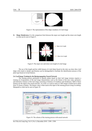 Identification of Plant Types by Leaf Textures Based on the Backpropagation Neural Network | PDF