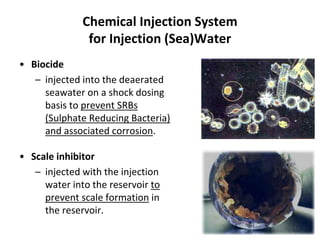 C3.2.11. Chemical Injection_2020 | PPT