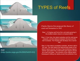 Wetlands-classification, Intertidal zone-study in flora and Fauna | PPT