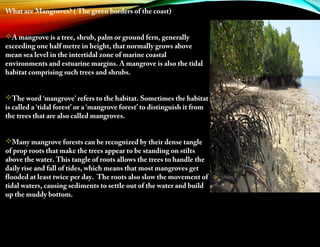 Wetlands-classification, Intertidal zone-study in flora and Fauna | PPT