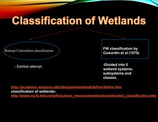 Wetlands-classification, Intertidal zone-study in flora and Fauna | PPT