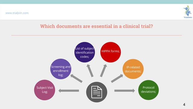 Best practices for maintaining and storing essential documents in ...
