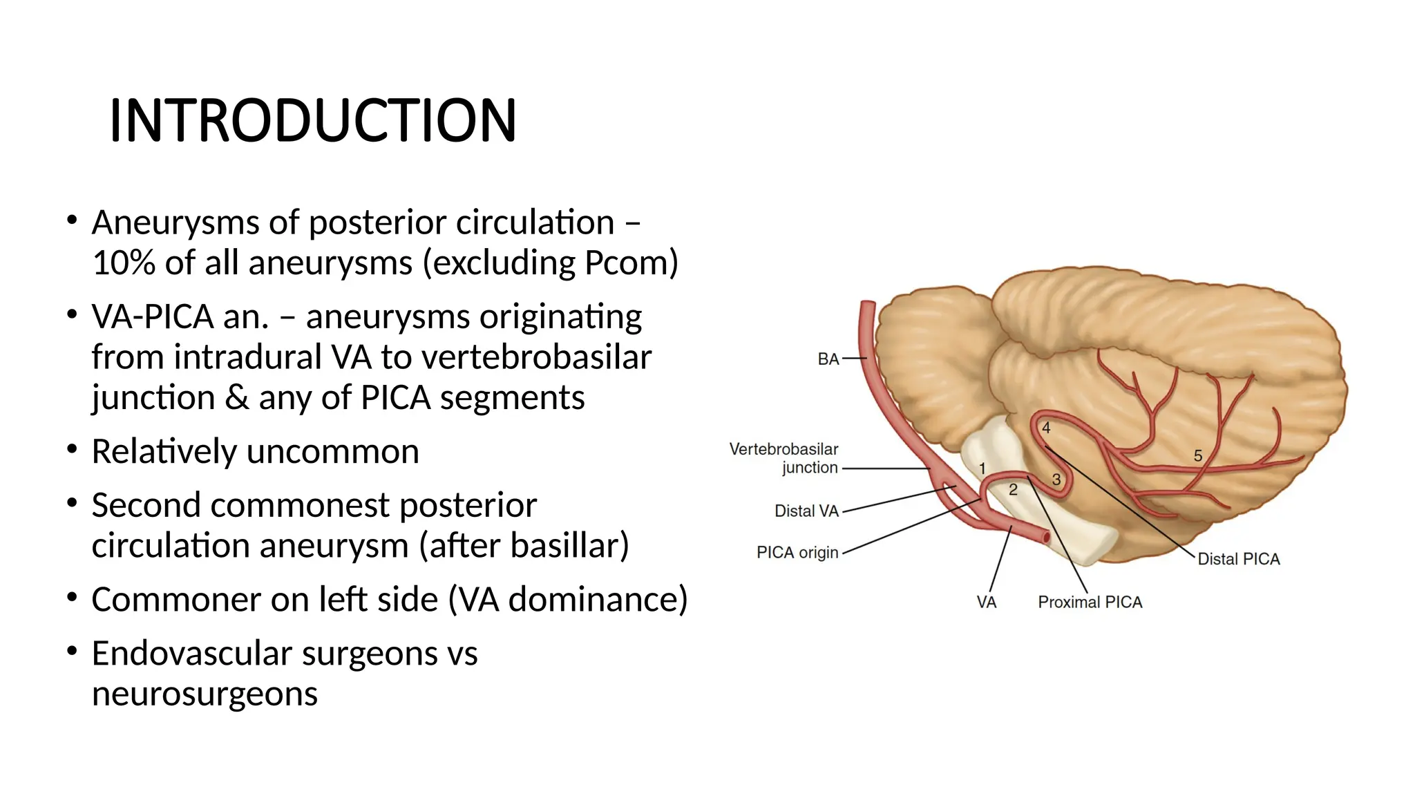VA-PICA ANEURYSMS (surgical management).pptx