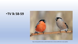 Vabariigi valitsus | PPT