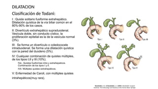 VÍA BILIAR Y VESÍCULA BILIAR Y VIA BILIAR COMPLETO | PPTX