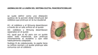 VÍA BILIAR Y VESÍCULA BILIAR Y VIA BILIAR COMPLETO | PPTX