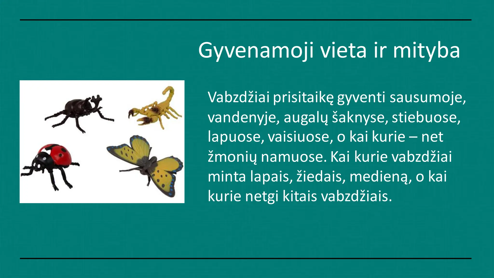 Vabzdžių pristatymas. Kas yra vabzdžiai? ? | PDF