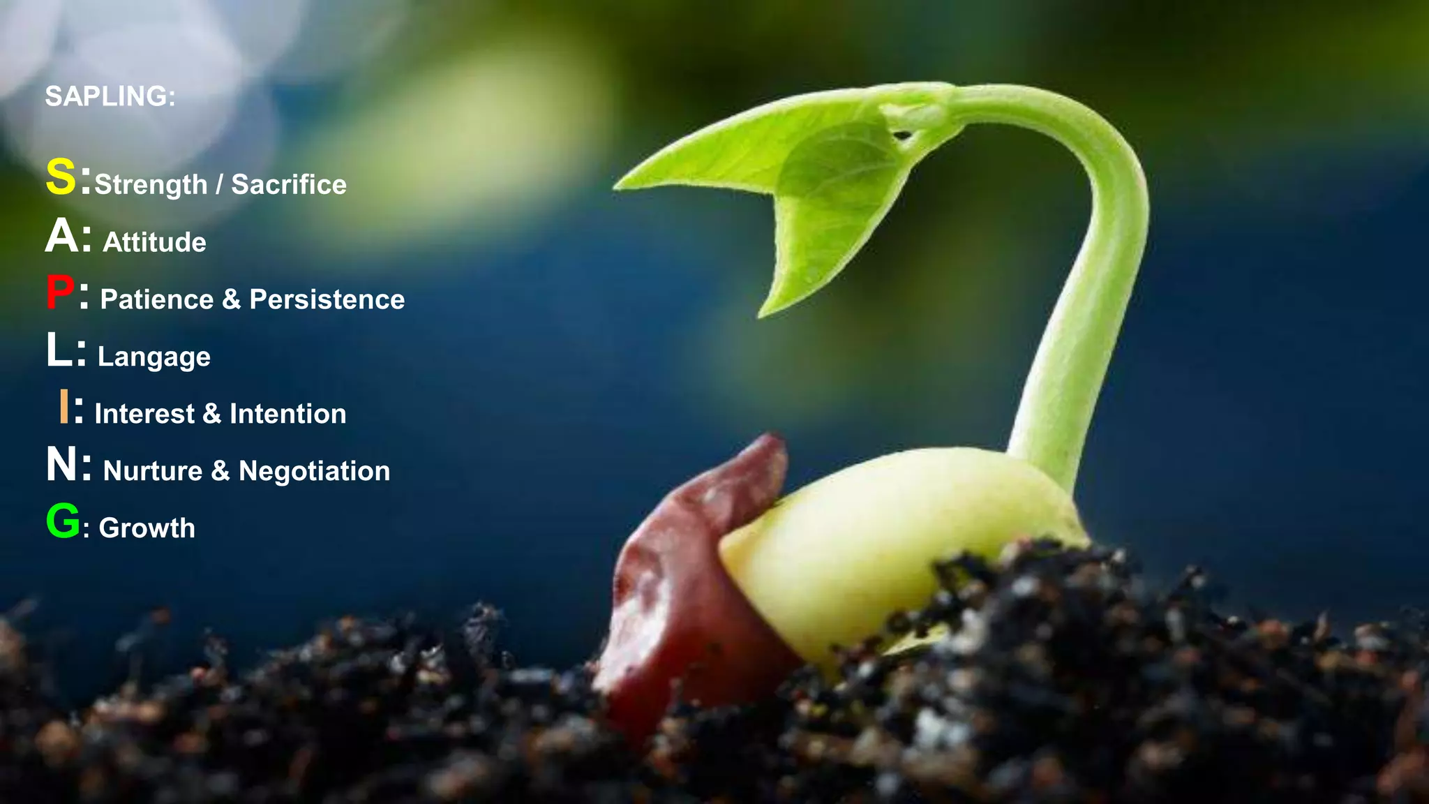 Sapling Technnque for sucess | PPT