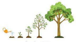 Sapling Technnque for sucess | PPT