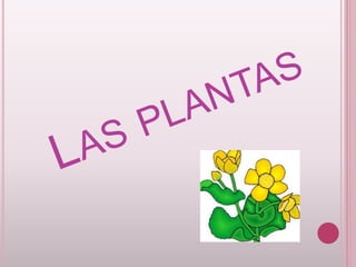 LAS PLANTAS | PPTX
