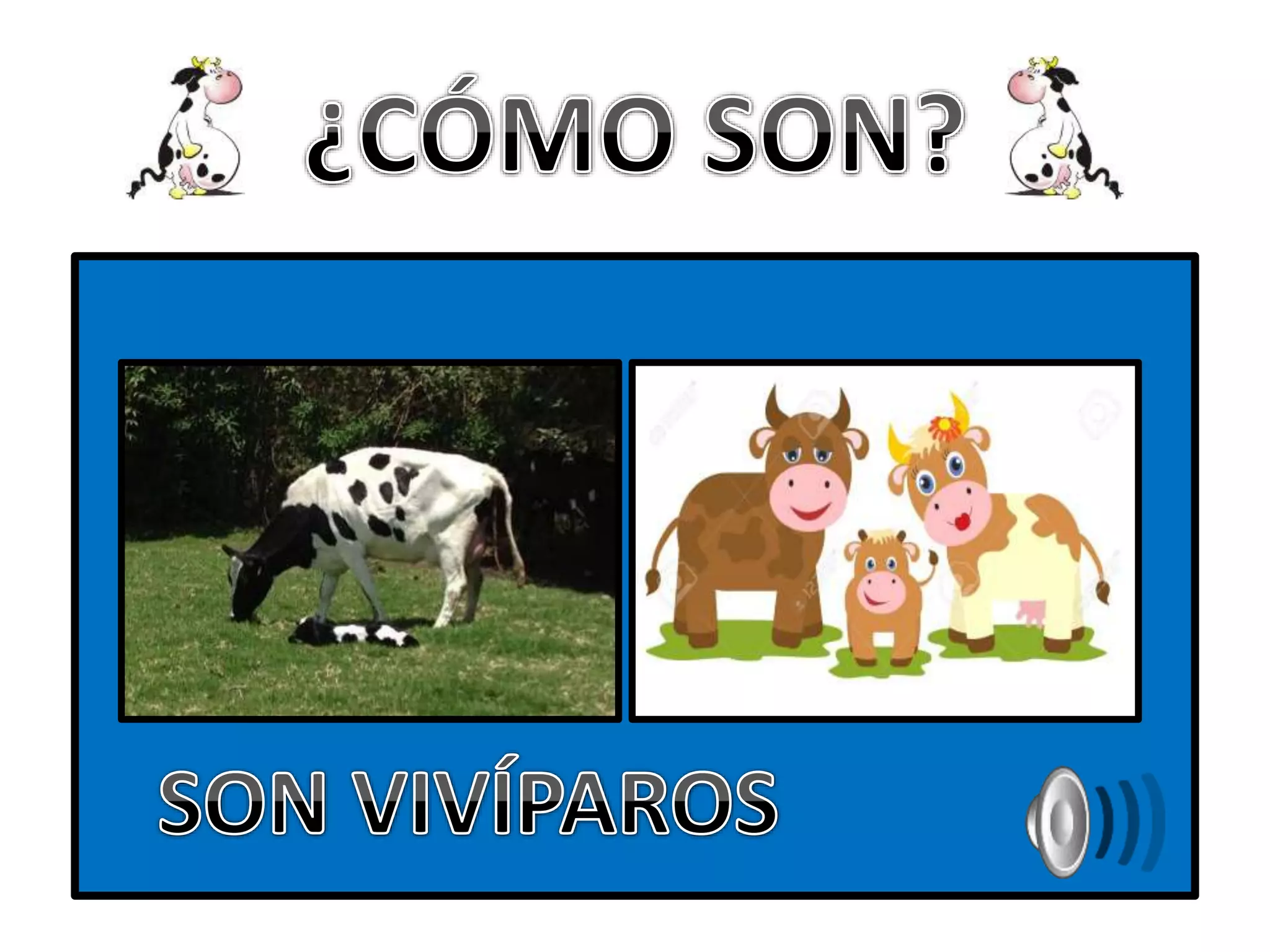 Vacas | PPT