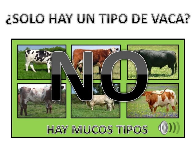 Vacas | PPTX