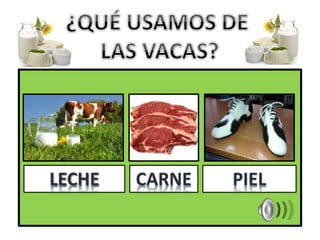 Vacas | PPTX