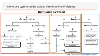 Vaccination | PPTX