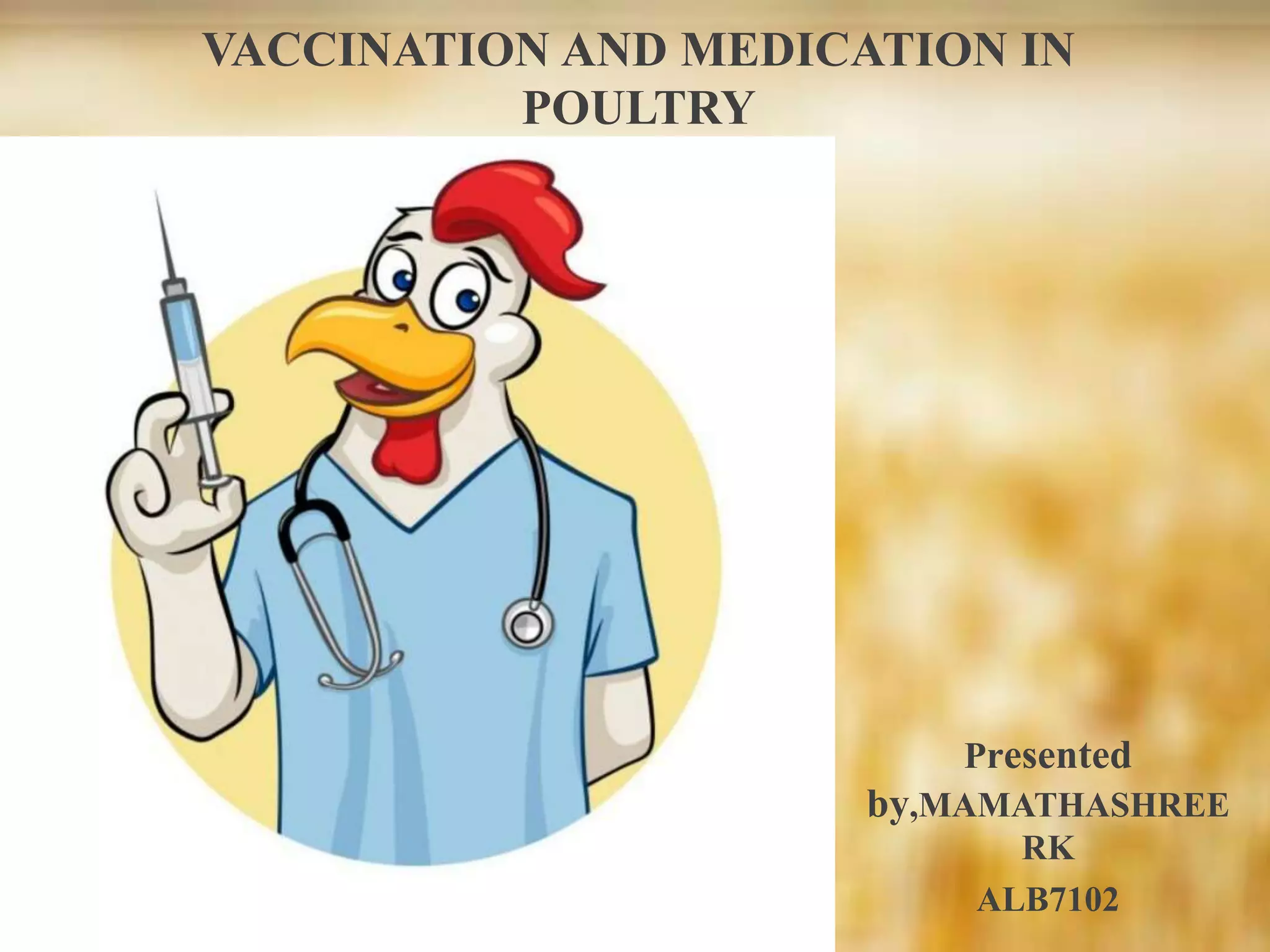Vaccination and medication in poultry | PPTX