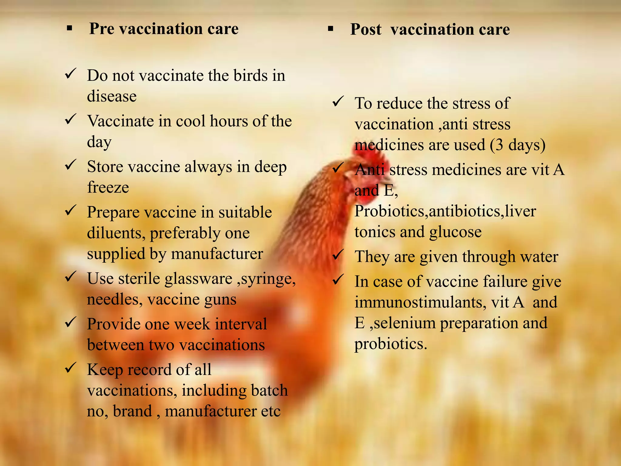 Vaccination and medication in poultry | PPTX