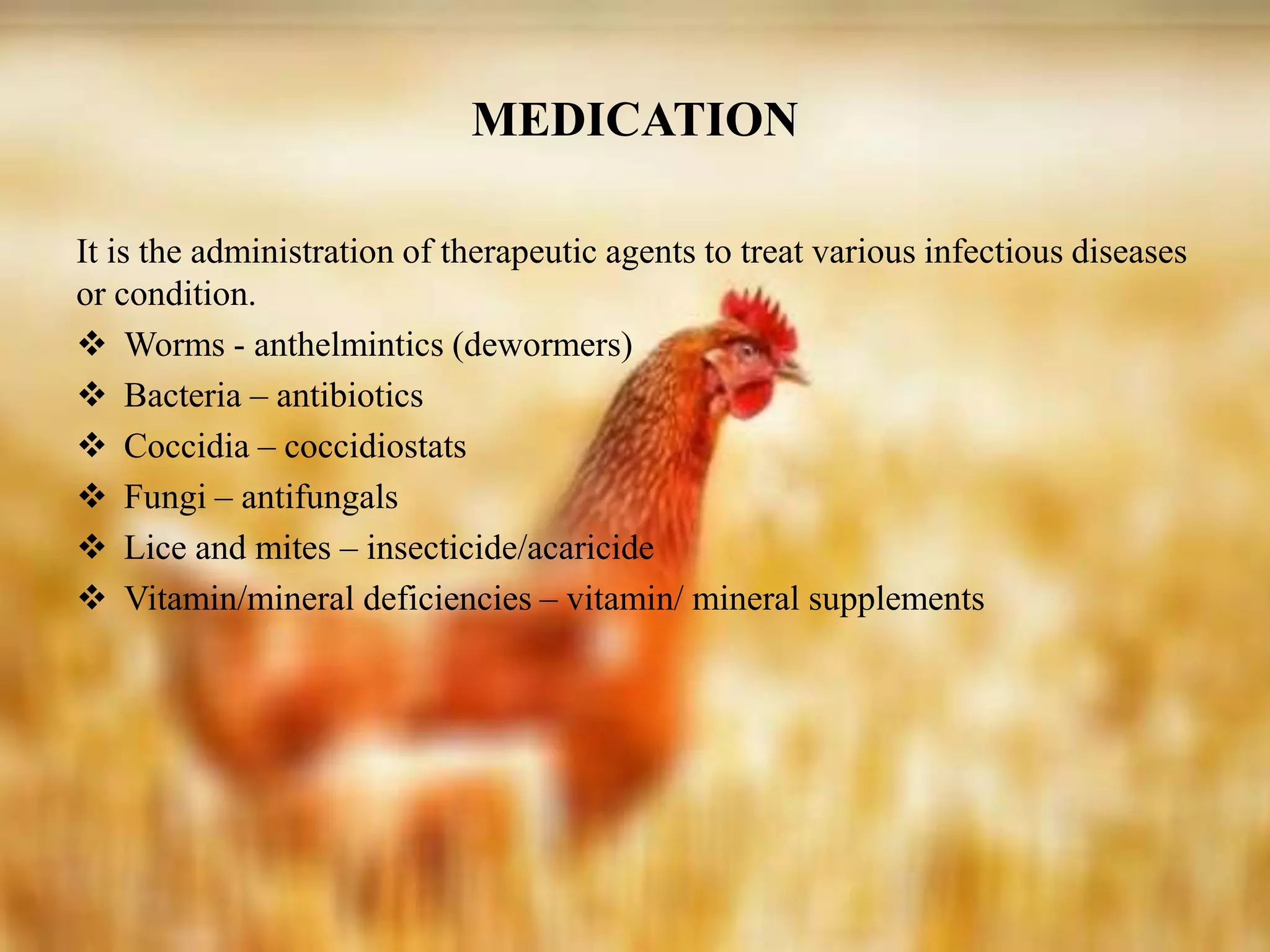 Vaccination and medication in poultry | PPTX