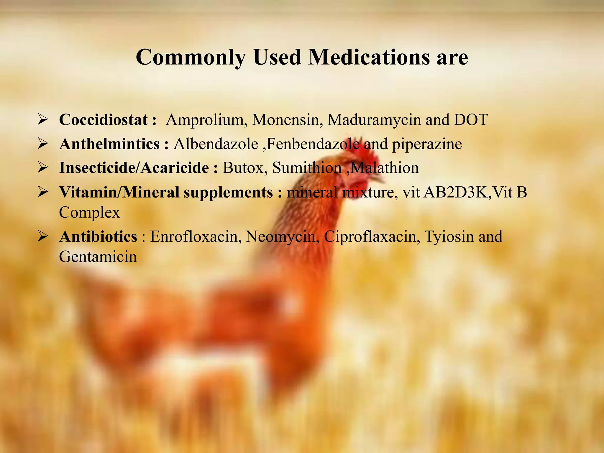 Vaccination and medication in poultry | PPTX
