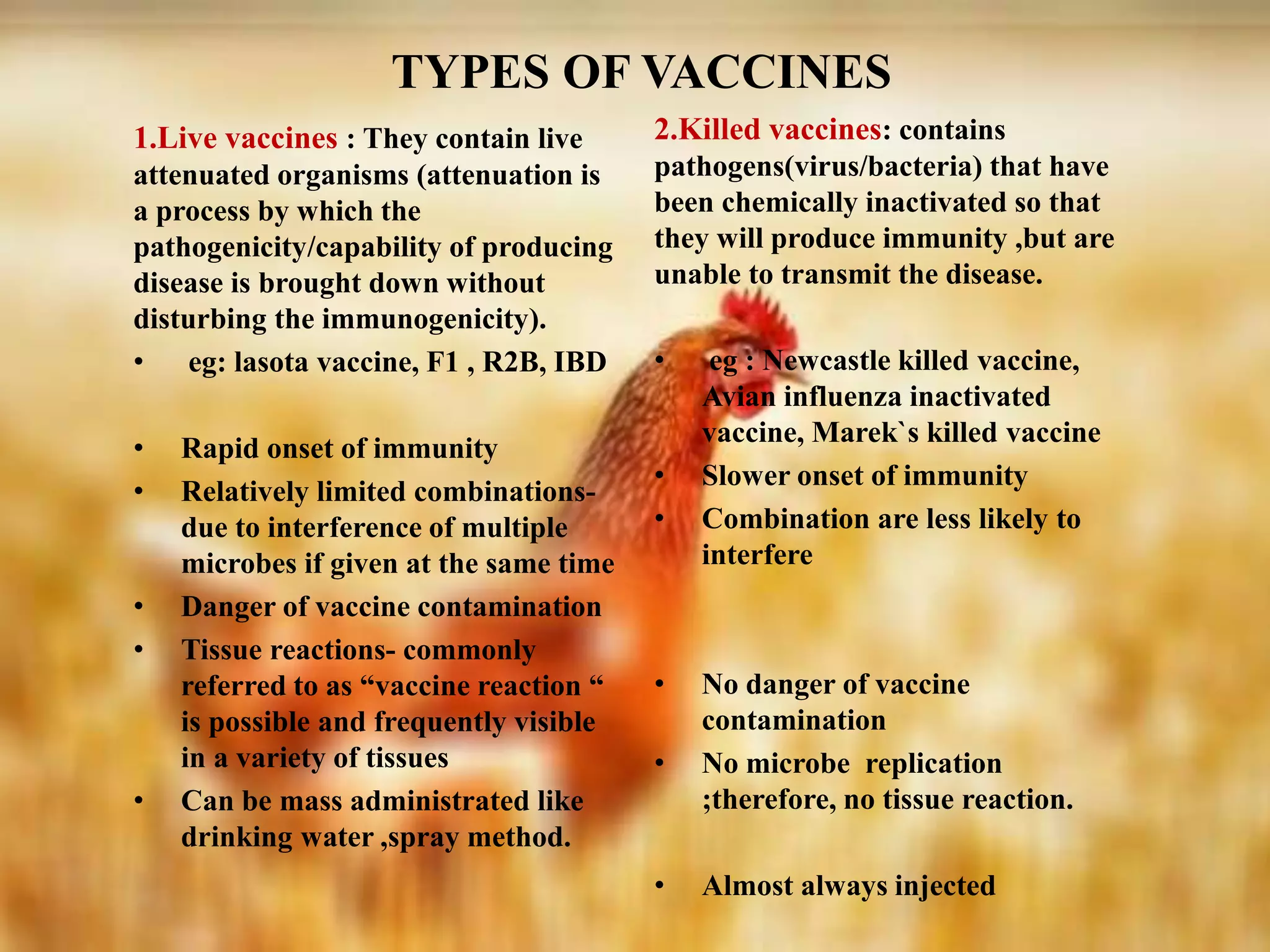 Vaccination and medication in poultry | PPTX