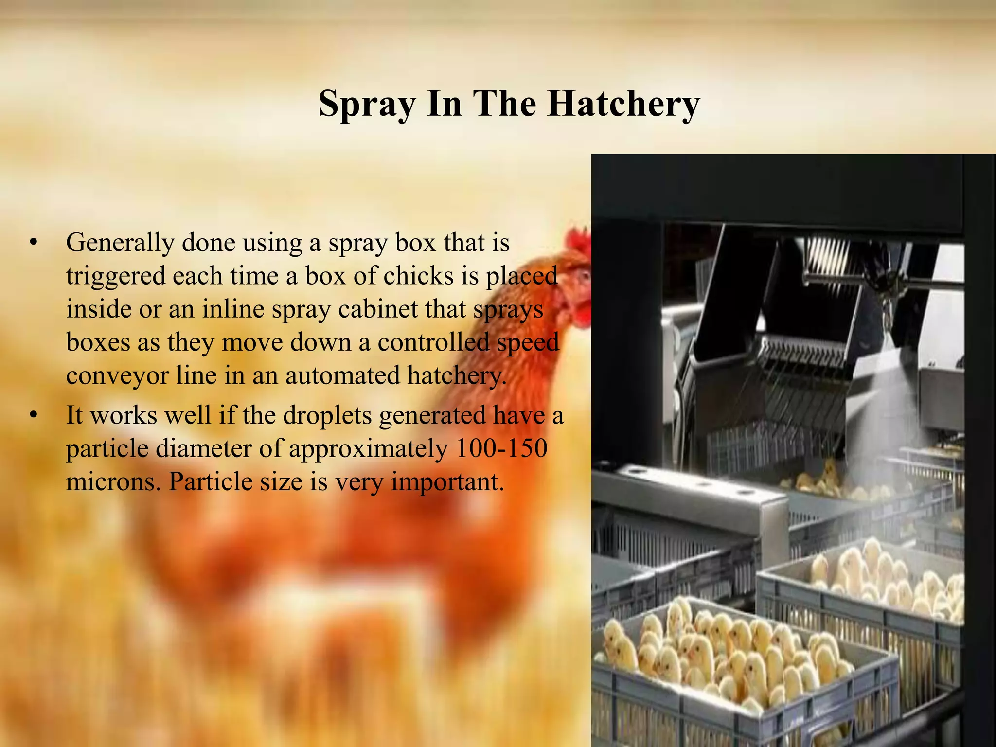 Vaccination and medication in poultry | PPTX