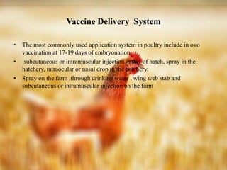 Vaccination and medication in poultry | PPTX