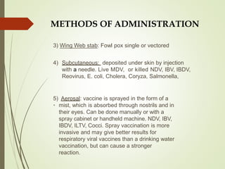 Vaccination in poultry | PDF