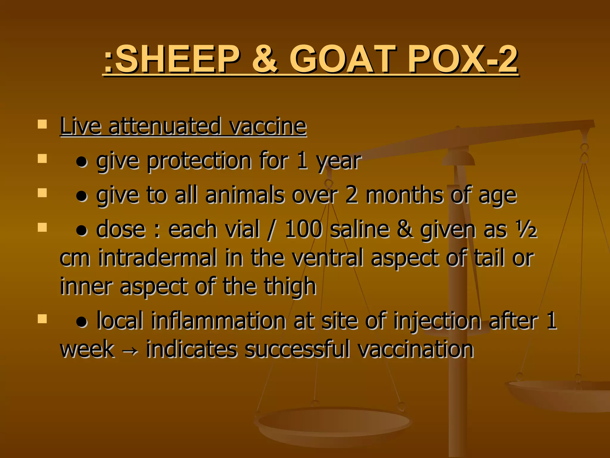 Vaccination program for sheep and goats | PPS