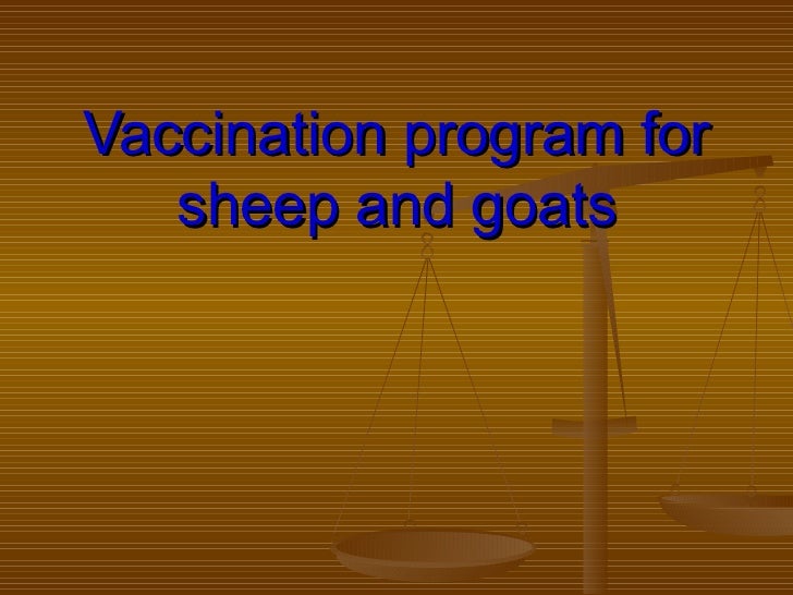 Vaccination Program For Sheep And Goats