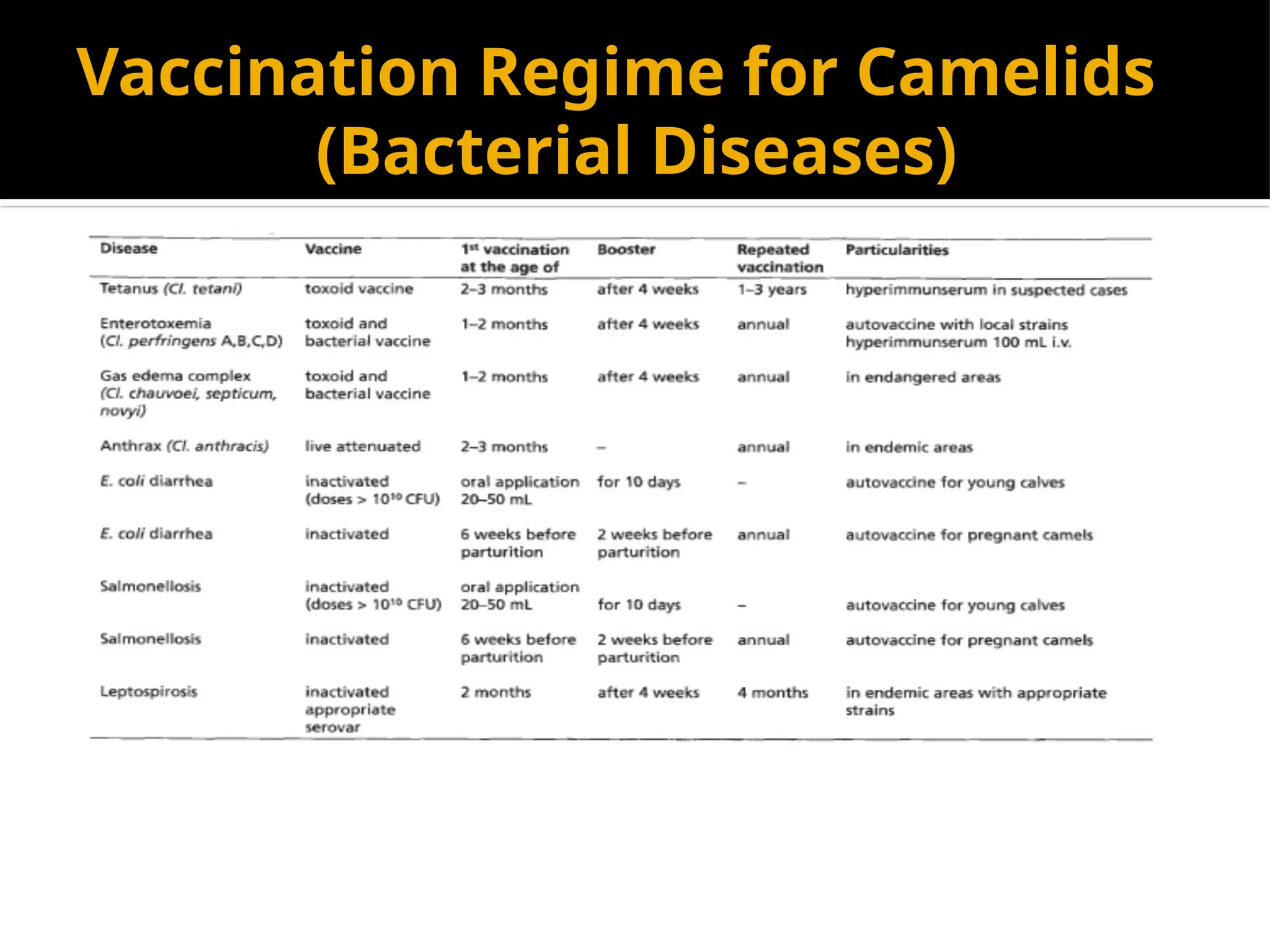 Vaccination Programs In Camelids against Bacterial,Viral and Fungal ...