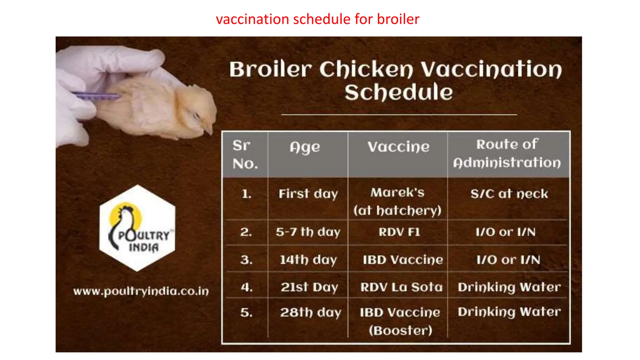 vaccination schedule.pptx shedule FOR FMD | PPTX