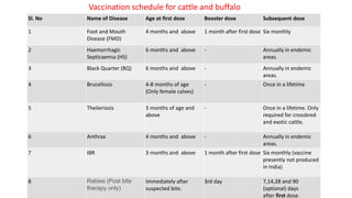 vaccination schedule.pptx shedule FOR FMD | PPTX
