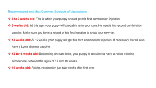 vaccination schedule.pptx shedule FOR FMD | PPTX