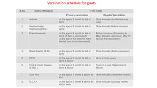 vaccination schedule.pptx shedule FOR FMD | PPTX