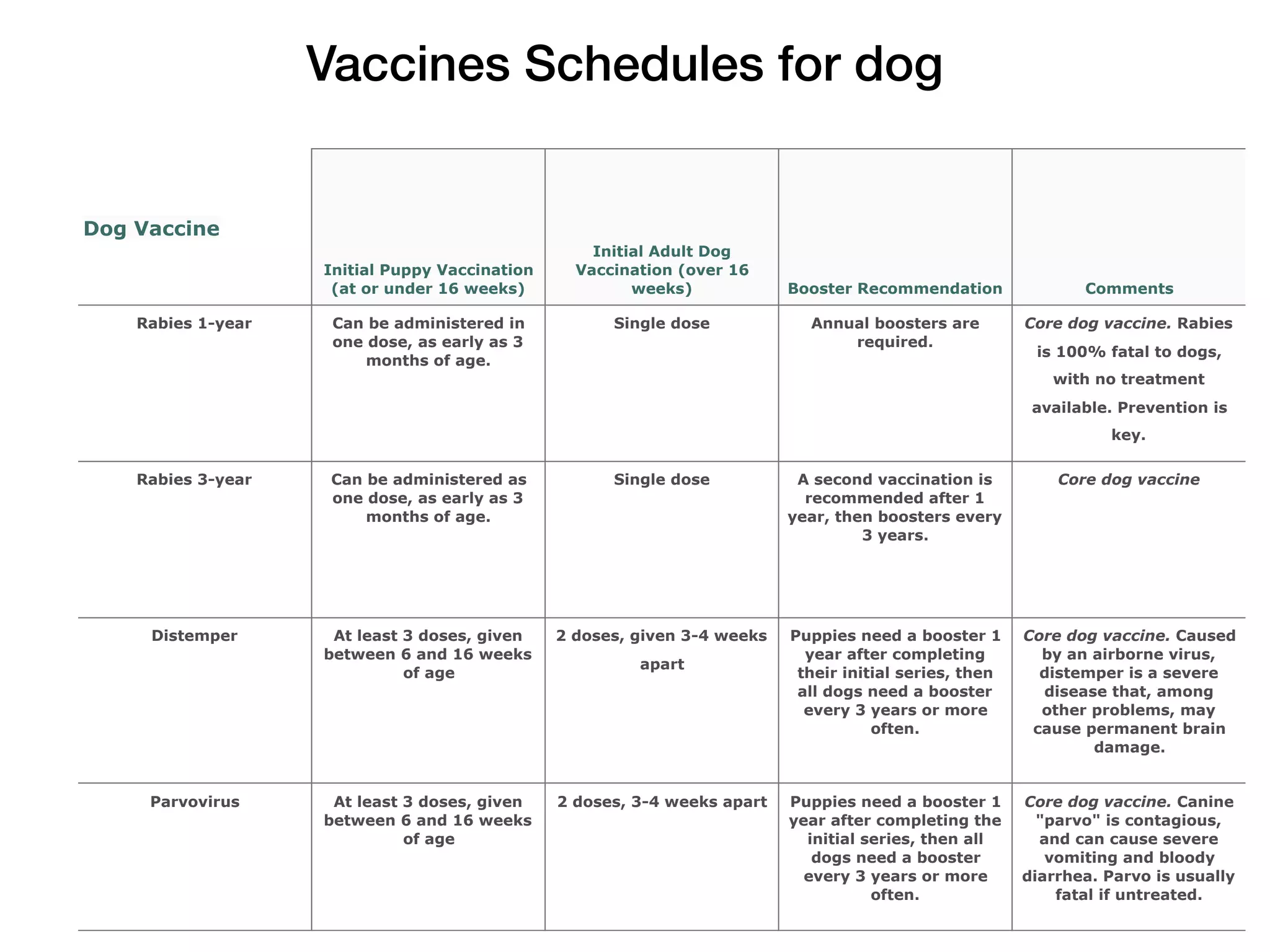 Vaccination schedule in dogs | PDF