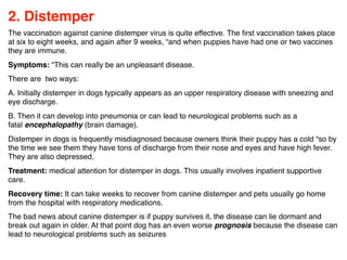 Vaccination schedule in dogs | PDF