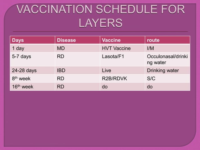 Vaccination schedule of animals and poultry | PPTX | Infectious ...