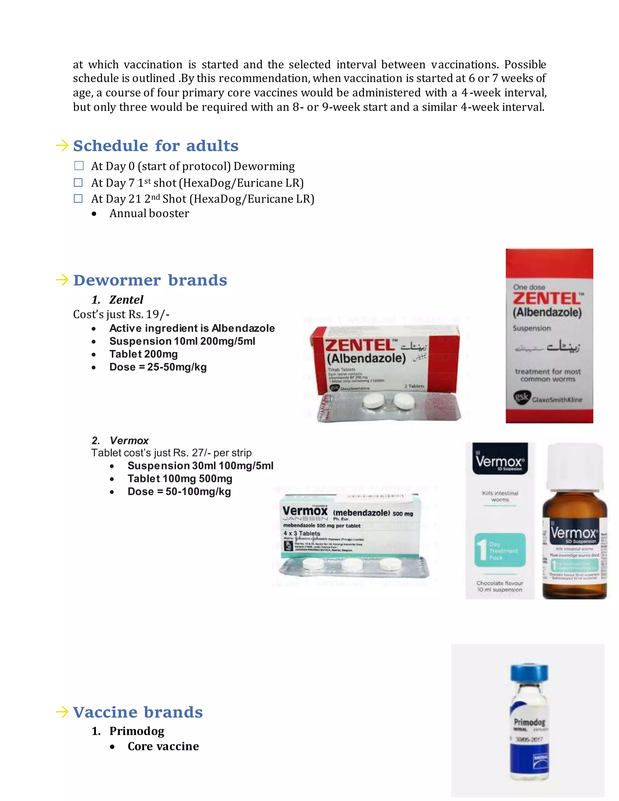 Vaccination schedule for dogs and cats | DOCX