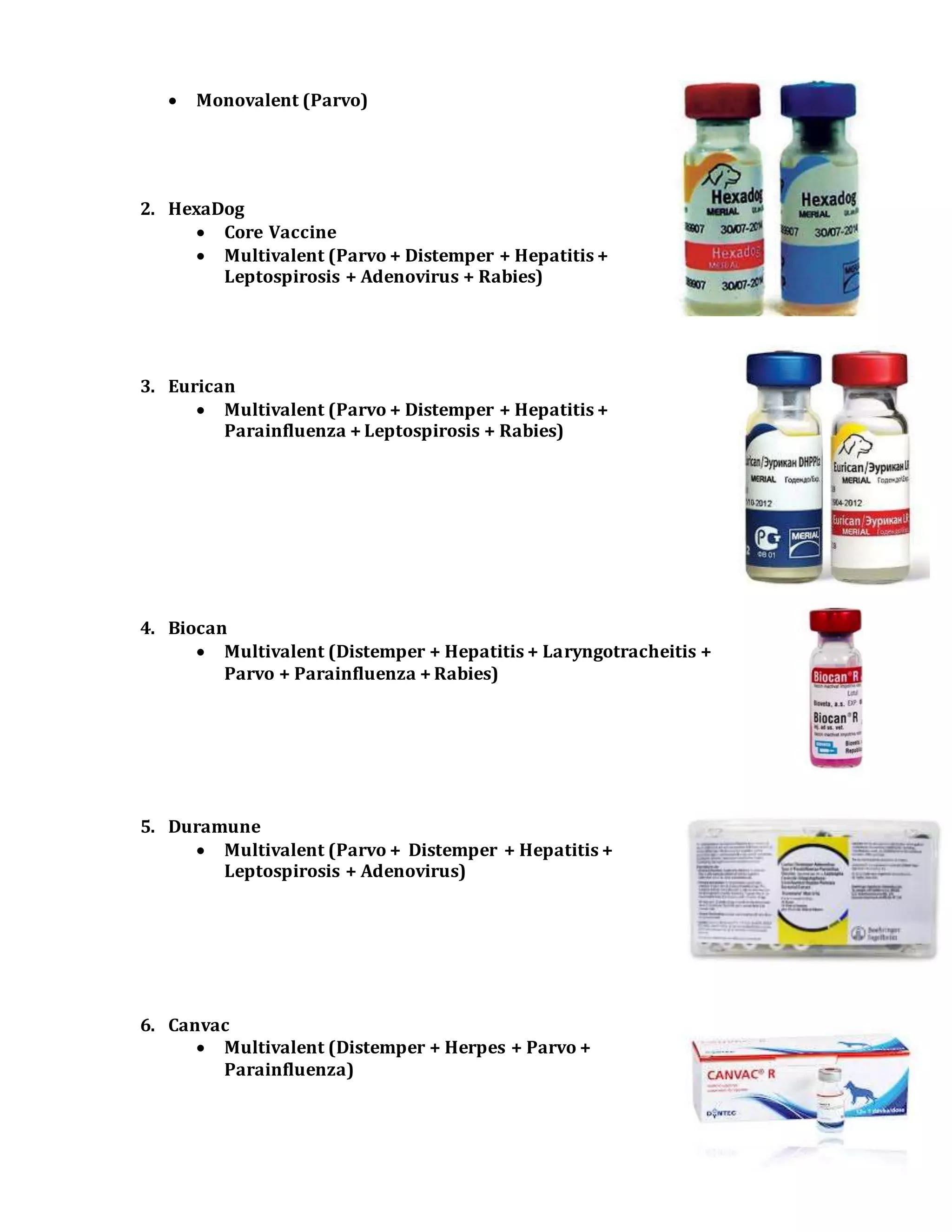 Vaccination schedule for dogs and cats | DOCX