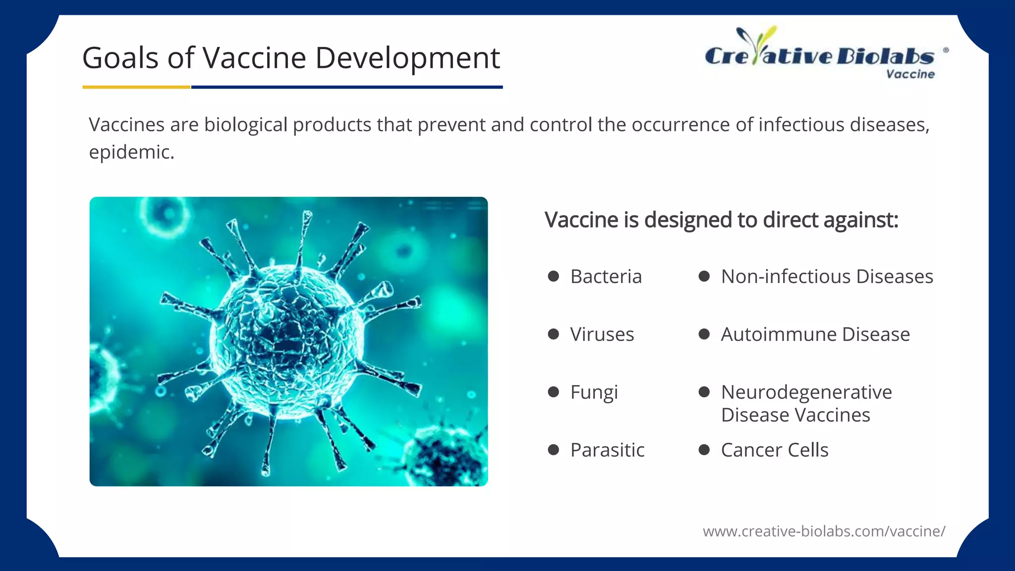 Vaccine Development & GMP Manufacturing - Creative Biolabs | PPTX