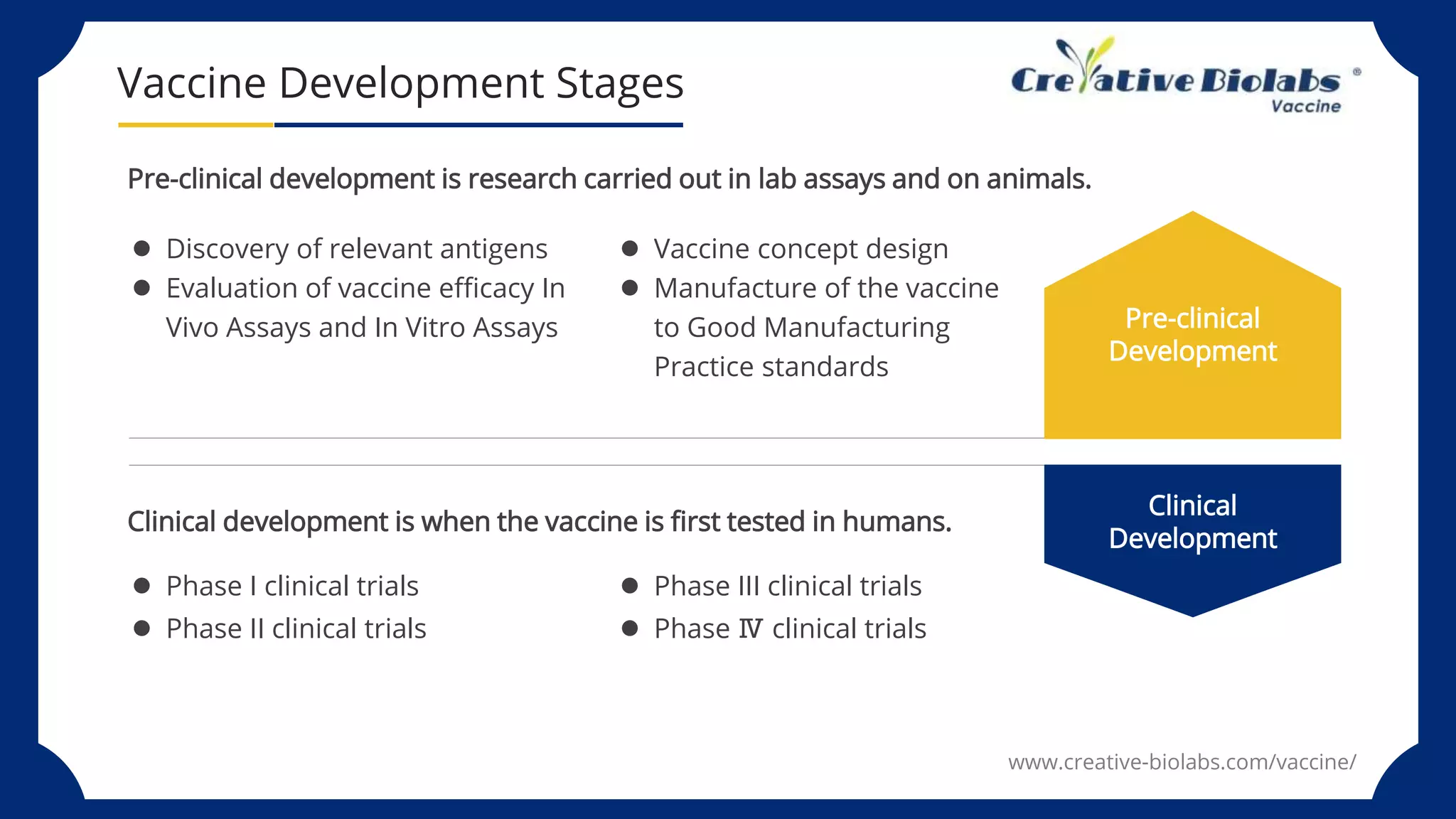 Vaccine Development & GMP Manufacturing - Creative Biolabs | PPTX