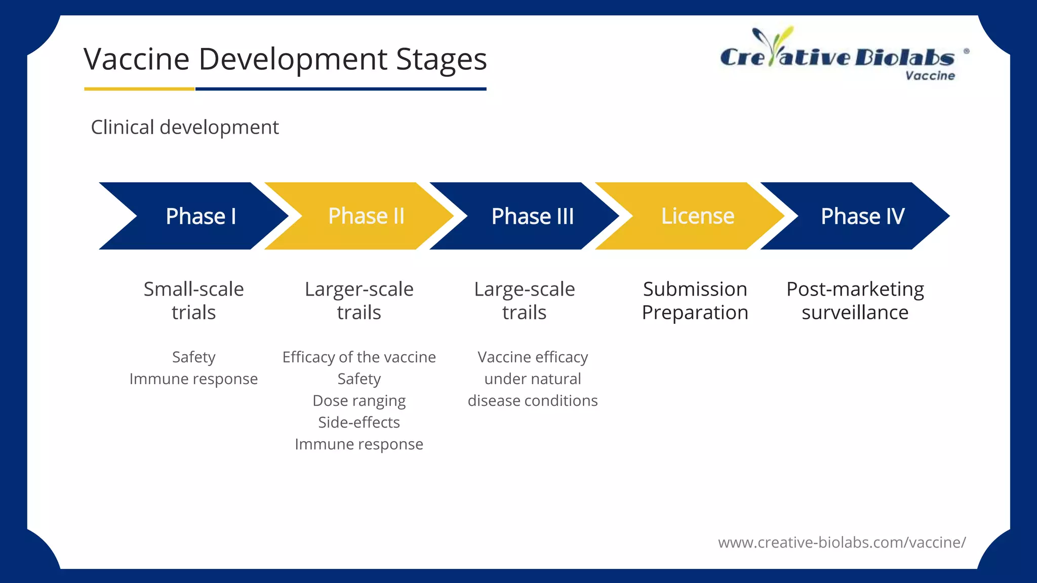 Vaccine Development & GMP Manufacturing - Creative Biolabs | PPTX