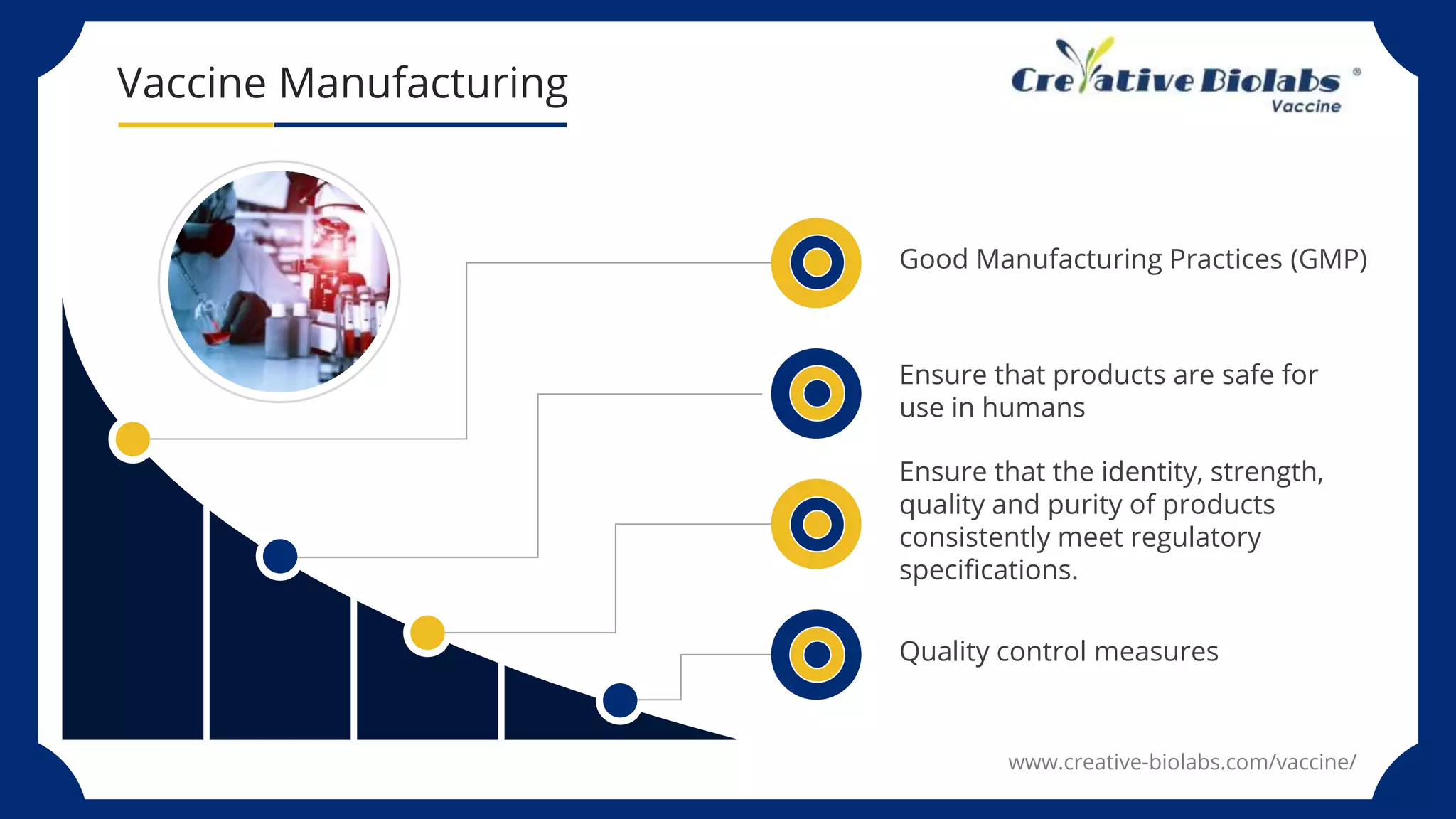 Vaccine Development & GMP Manufacturing - Creative Biolabs | PPTX
