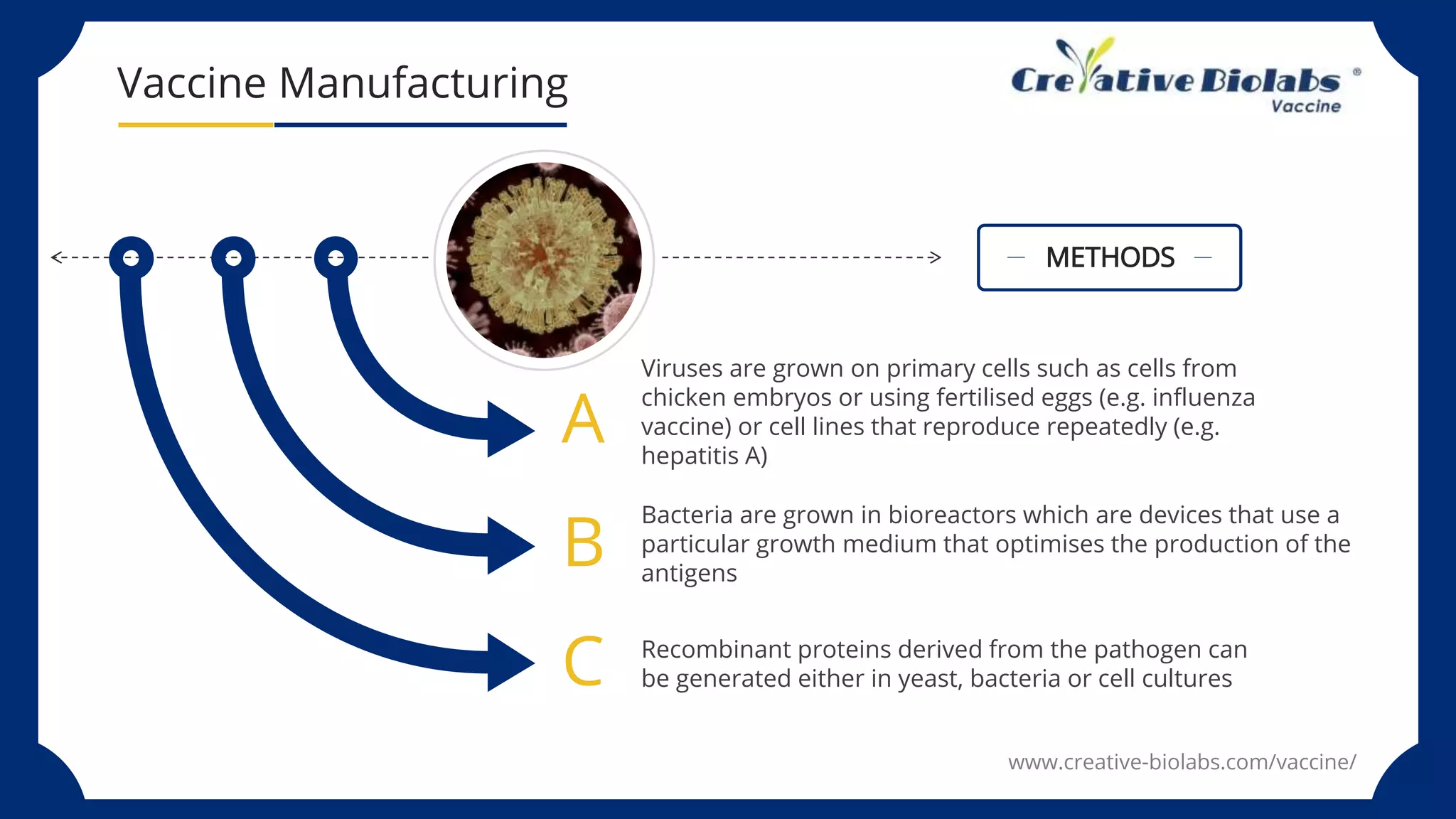 Vaccine Development & GMP Manufacturing - Creative Biolabs | PPTX