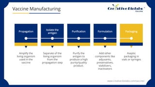 Vaccine Development & GMP Manufacturing - Creative Biolabs | PPTX