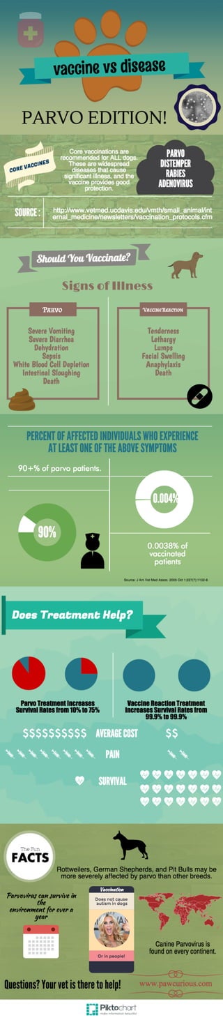 Parvo edition of Vaccine vs Disease, which is worse: an infographic | PDF